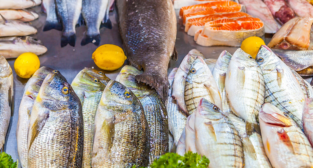 Freshest Catch in Town – Top Fish Market in York, Maine! - Vaction ...